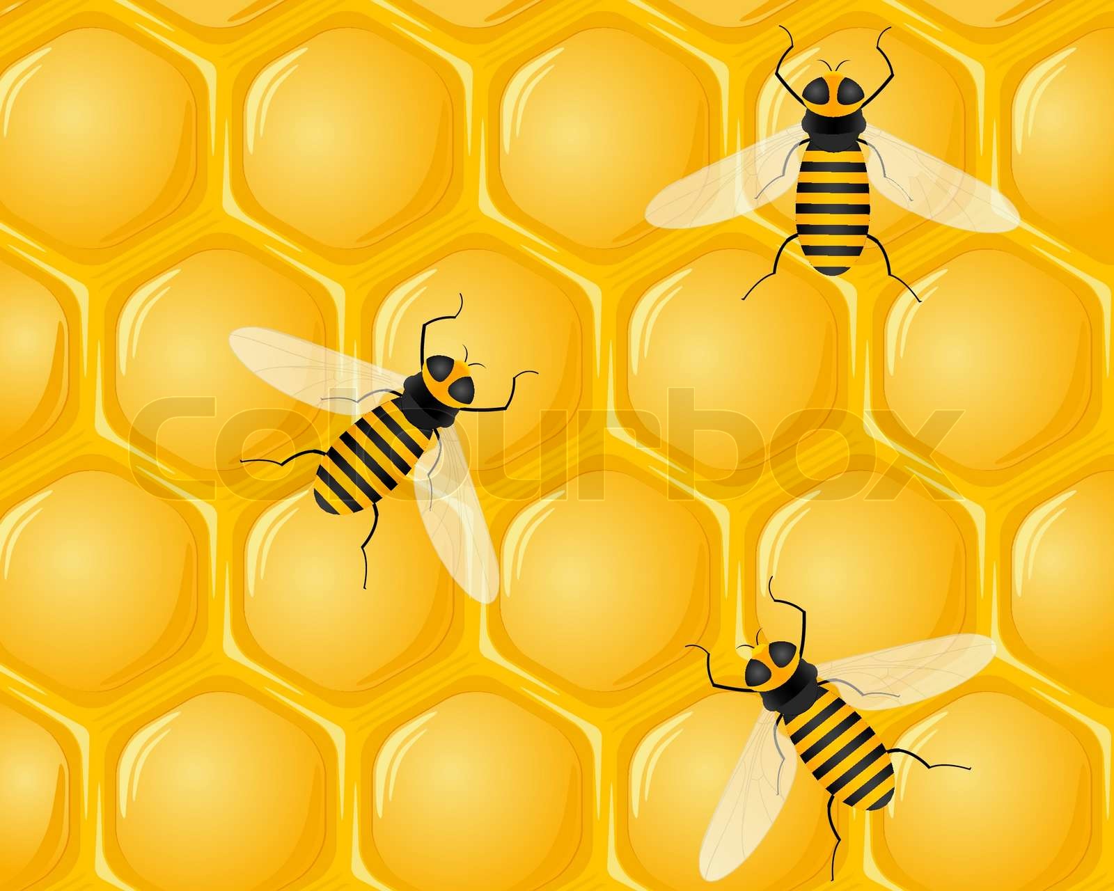 Bienen und Waben | Stock-Vektor | Colourbox