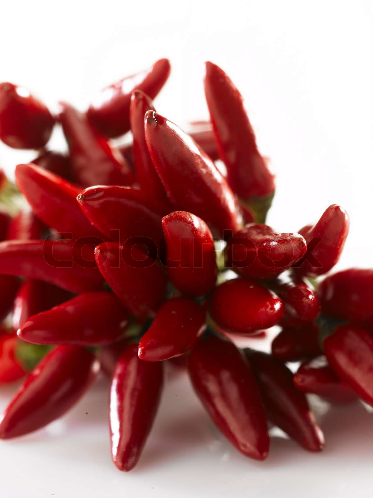 red chili | Stock image | Colourbox