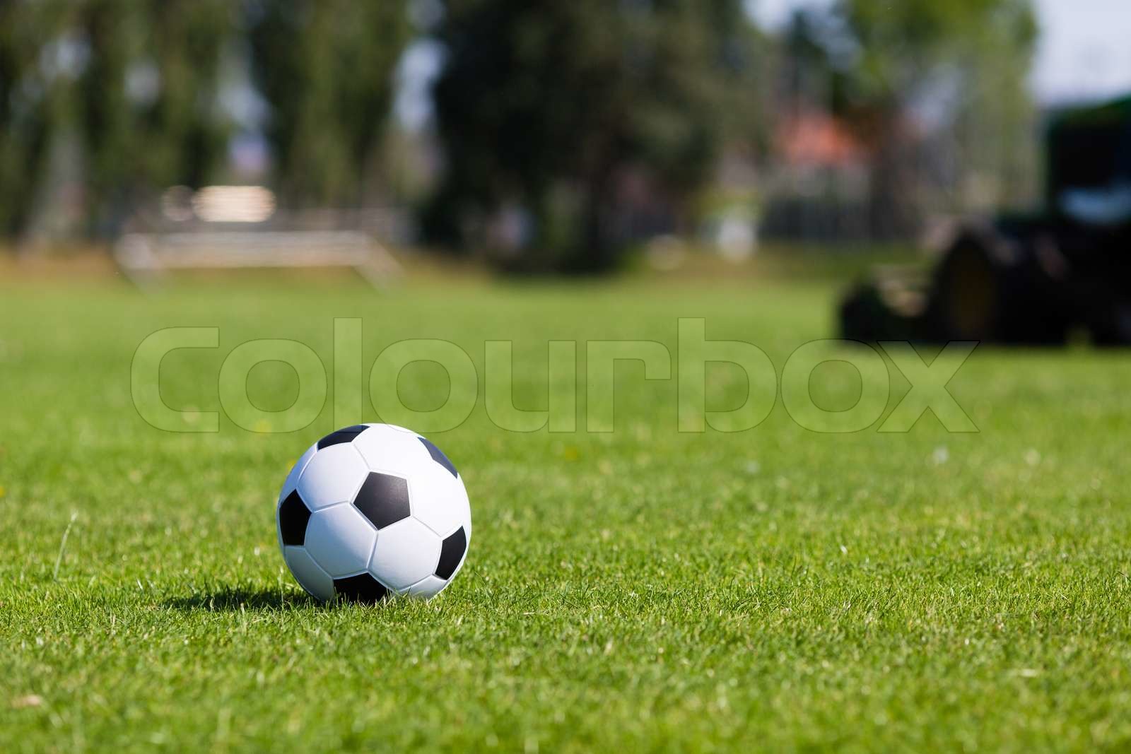 Green pitch with soccer ball | Stock image | Colourbox