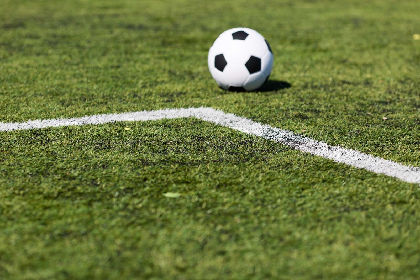 Green pitch with soccer ball | Stock image | Colourbox