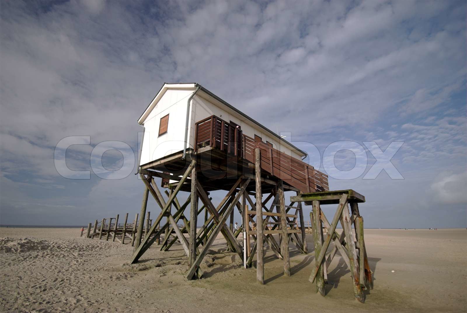 Home On Long legs. | Stock image | Colourbox