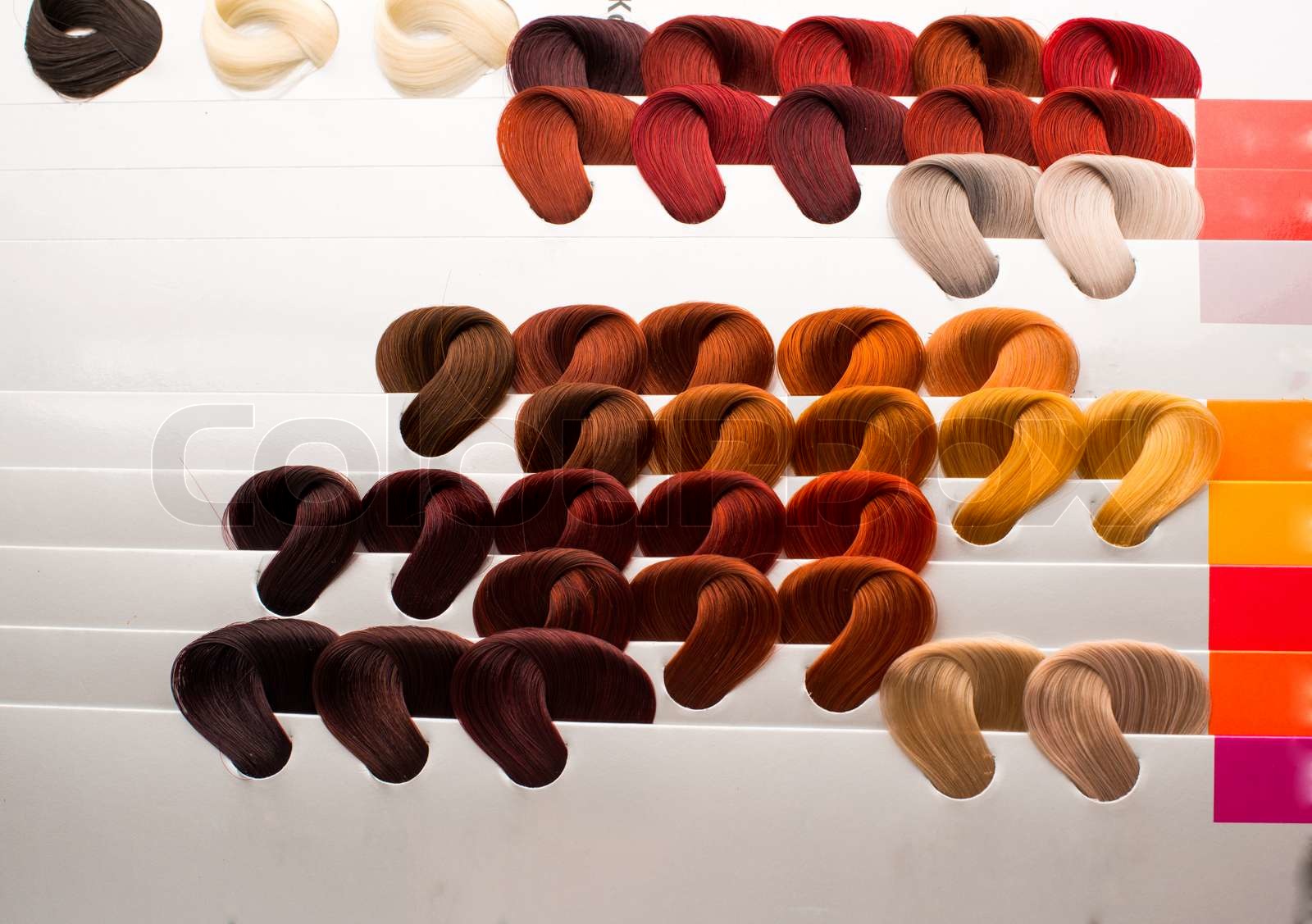 hair samples of different colors | Stock image | Colourbox