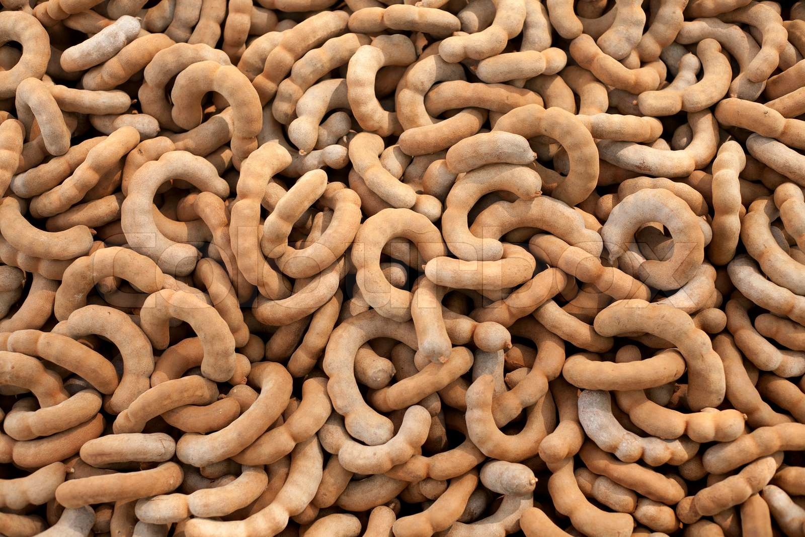 Sweet tamarind | Stock image | Colourbox