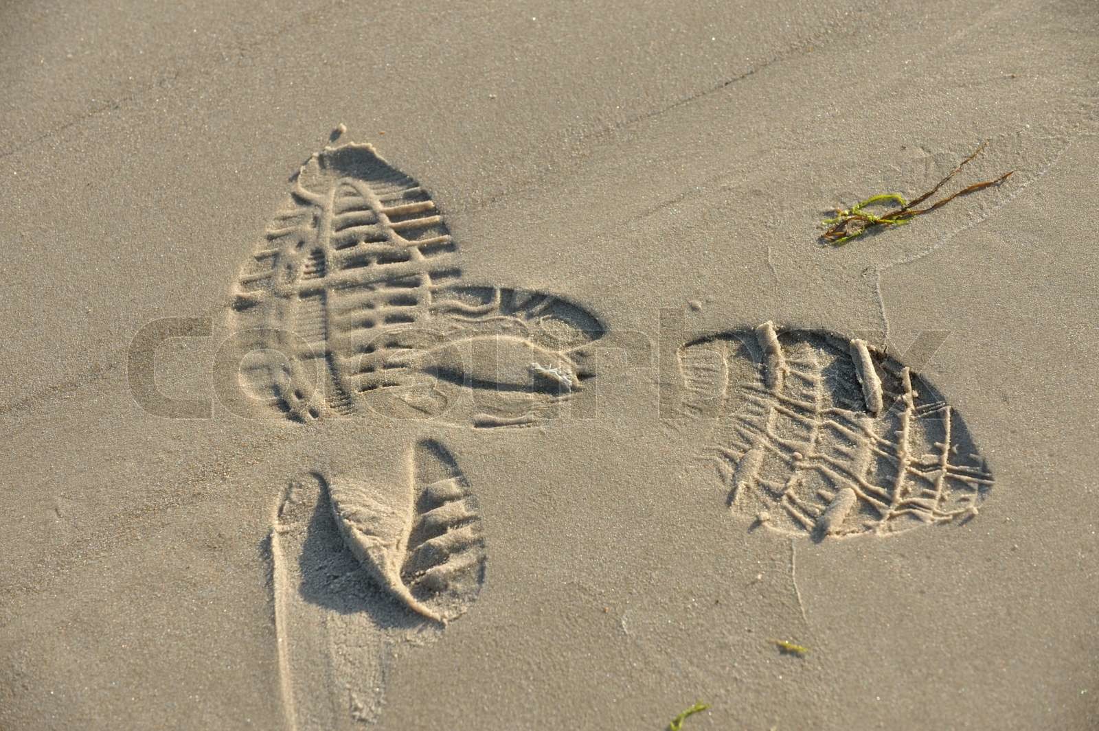 simple, beaches, beach | Stock image | Colourbox