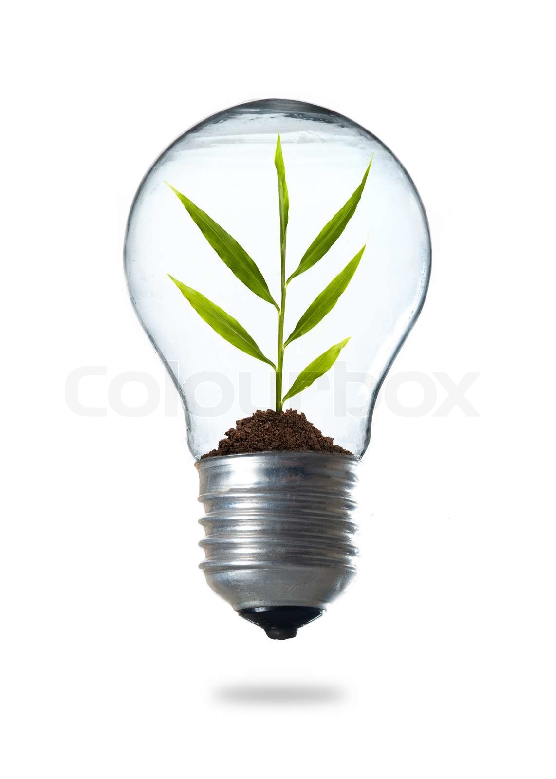 Light Bulb with sprout inside | Stock image | Colourbox