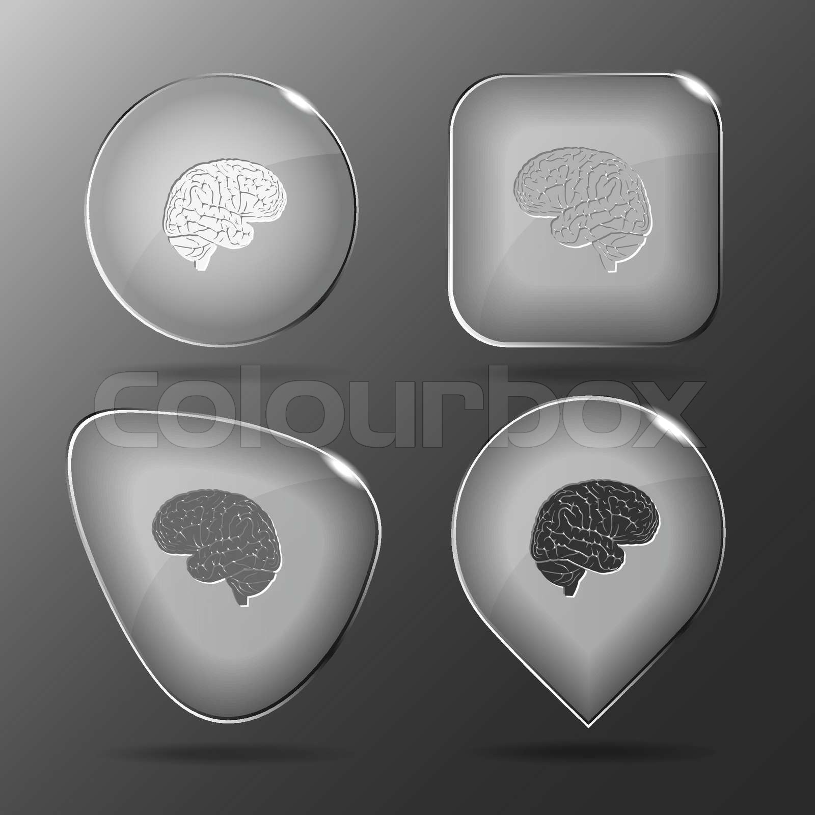 Brain. Glass buttons. Vector illustration. | Stock vector | Colourbox