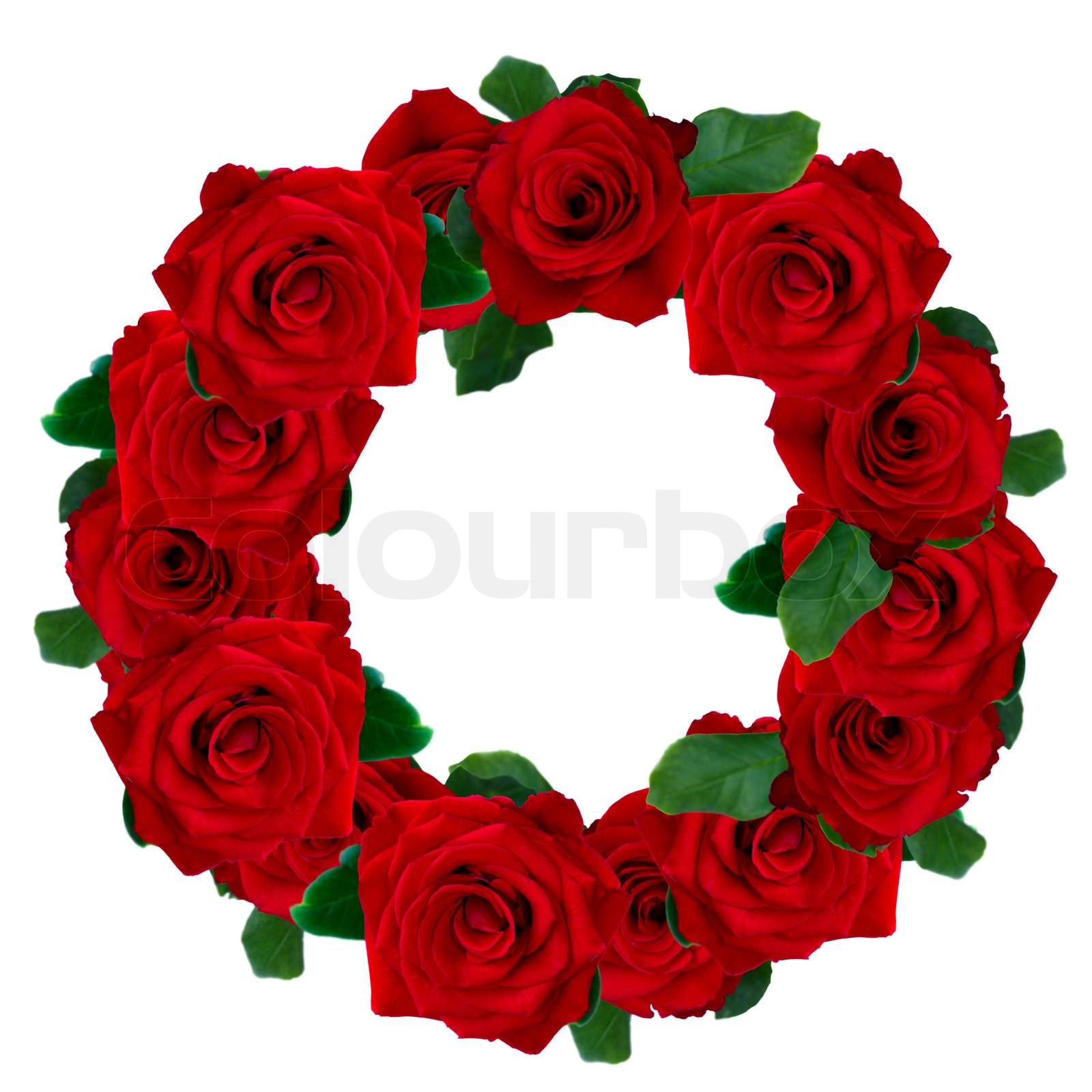red roses wreath | Stock image | Colourbox