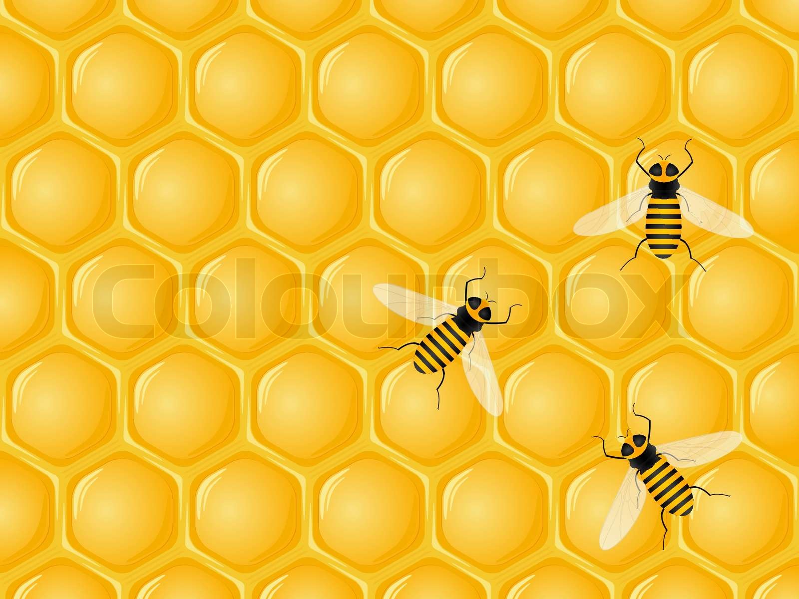 Waben und Bienen | Stock-Vektor | Colourbox