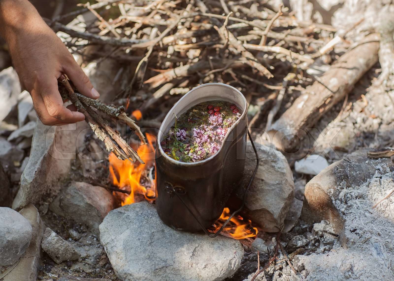 Preparing tea | Stock image | Colourbox