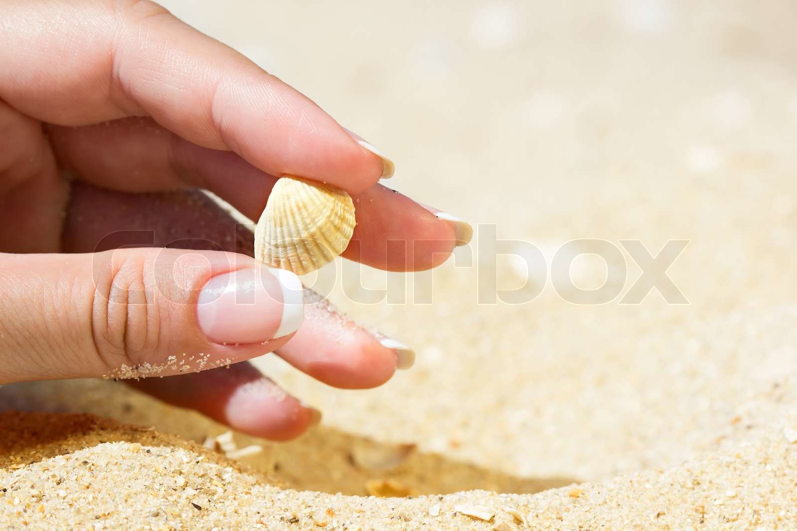 Sea shell in the hand | Stock image | Colourbox