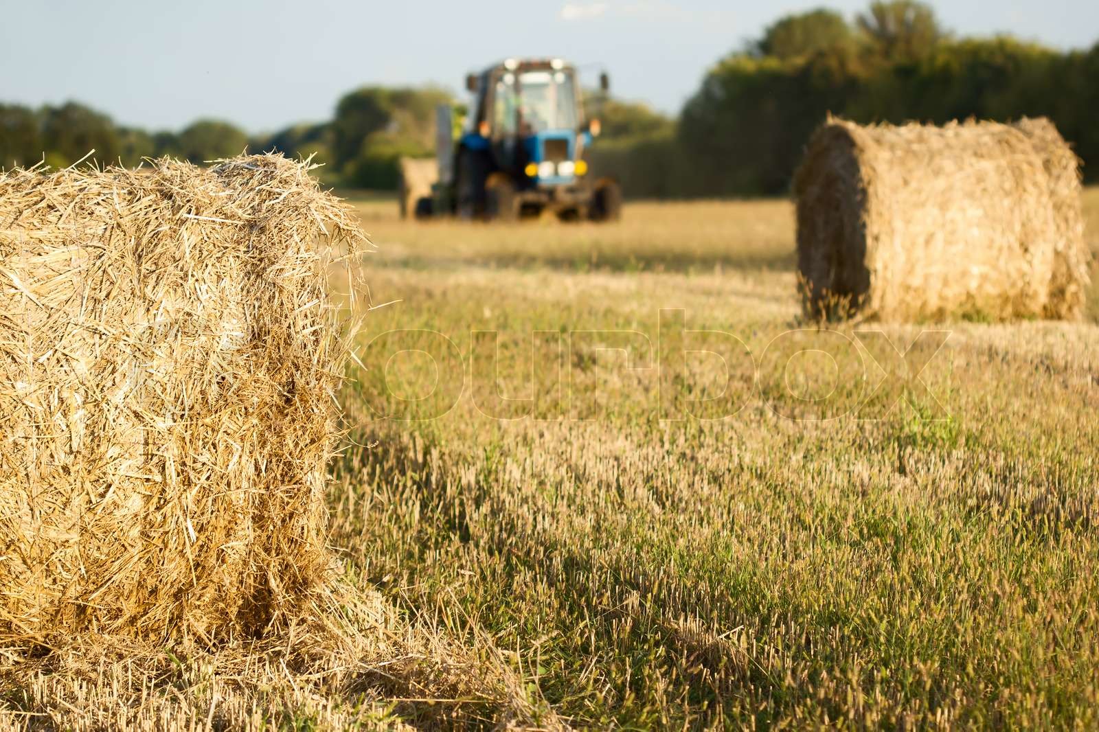 Ernte | Stock Bild | Colourbox