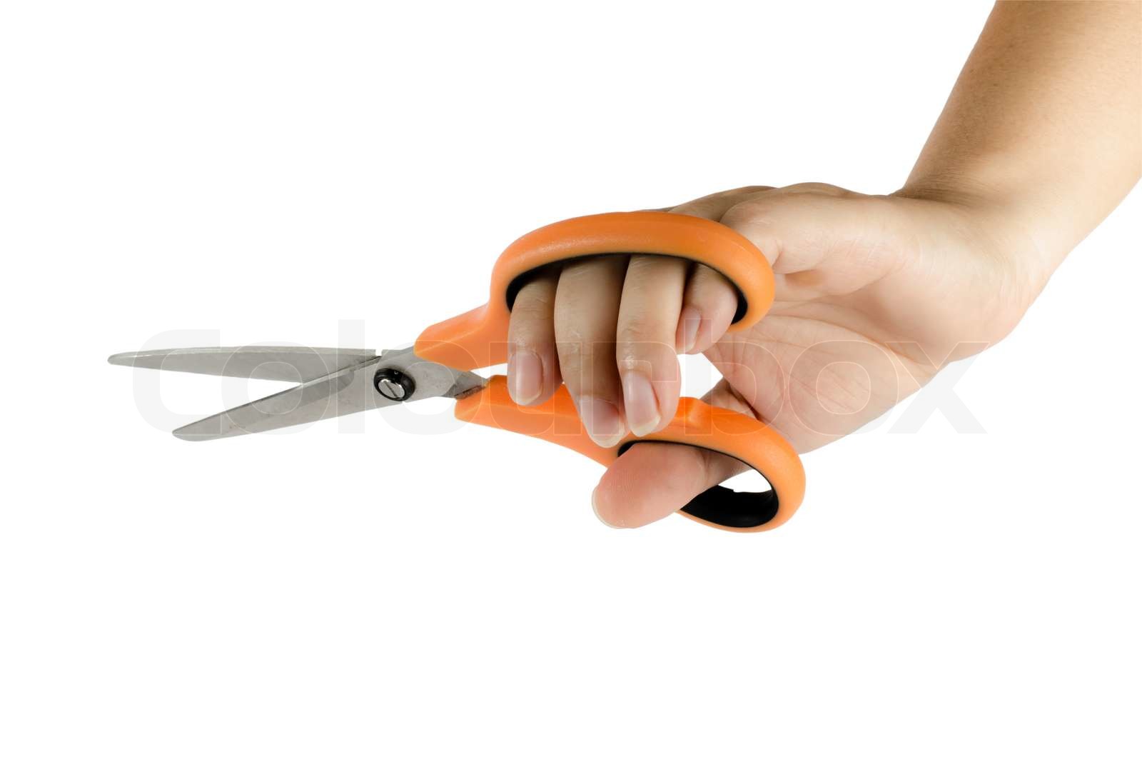 Scissors in woman's hand | Stock image | Colourbox