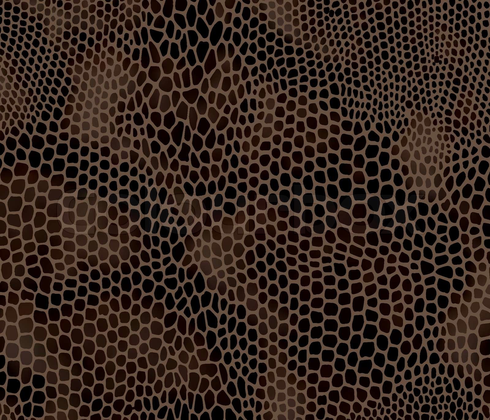 Seamless vector structured snake skin | Stock vector | Colourbox