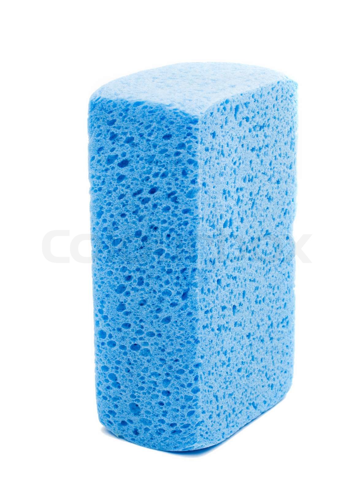 blue sponge | Stock image | Colourbox