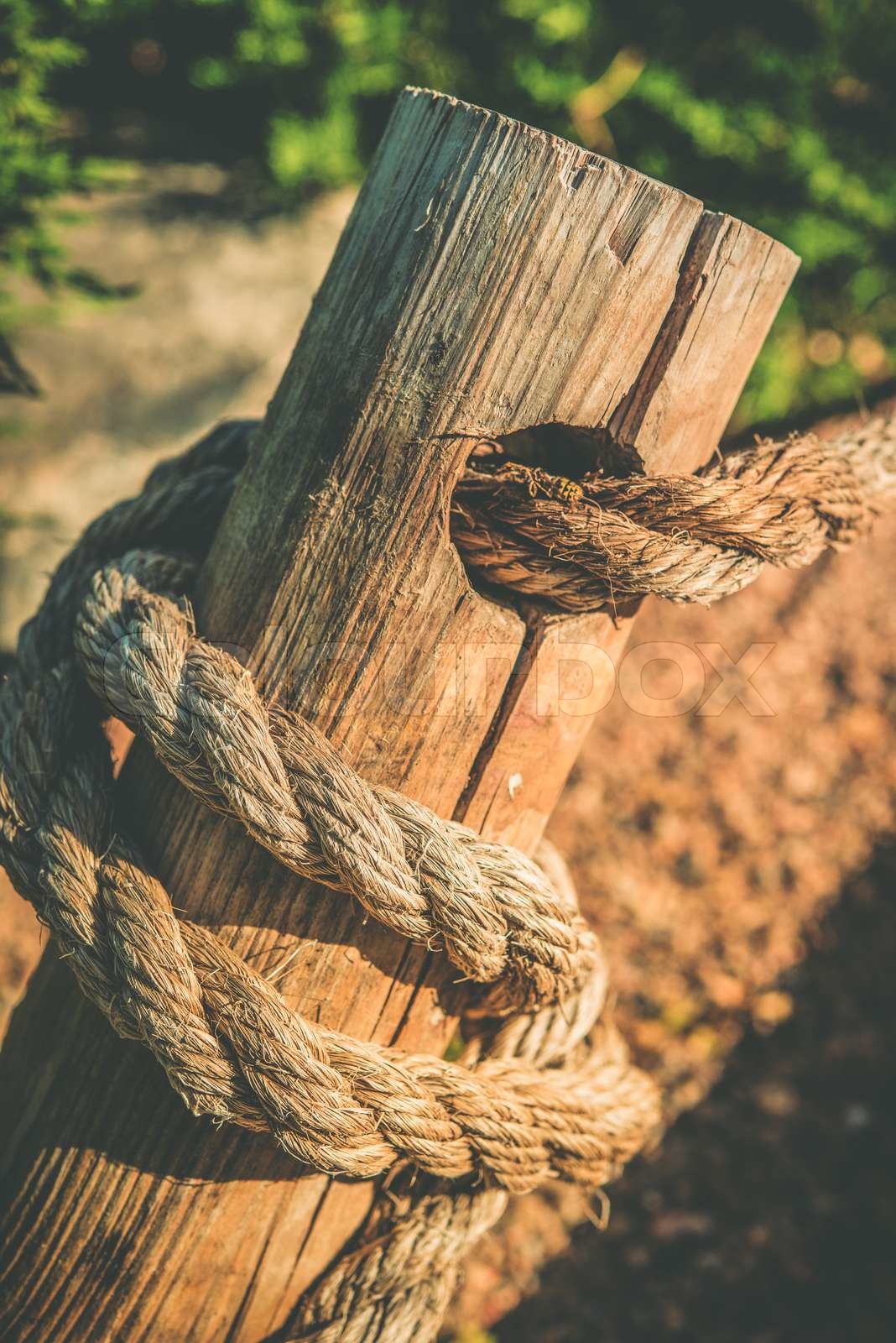 Rope and Wood | Stock image | Colourbox