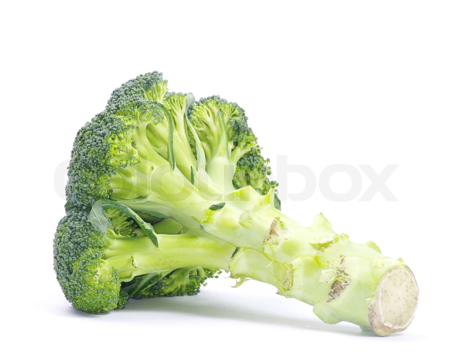 broccoli | Stock image | Colourbox