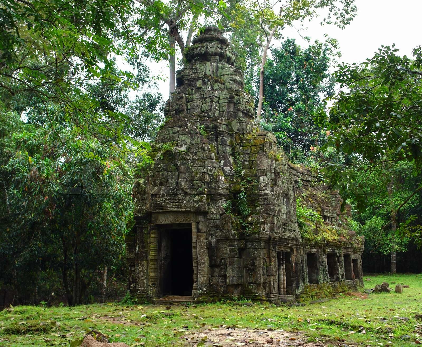 Ta Prohm | Stock image | Colourbox