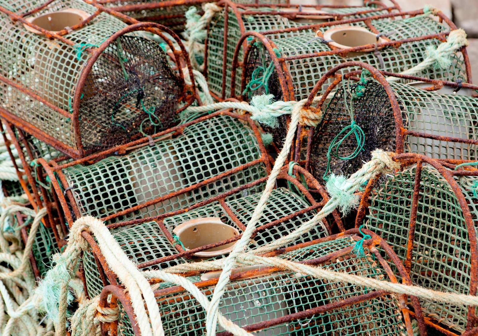 Octopus traps at the port | Stock image | Colourbox