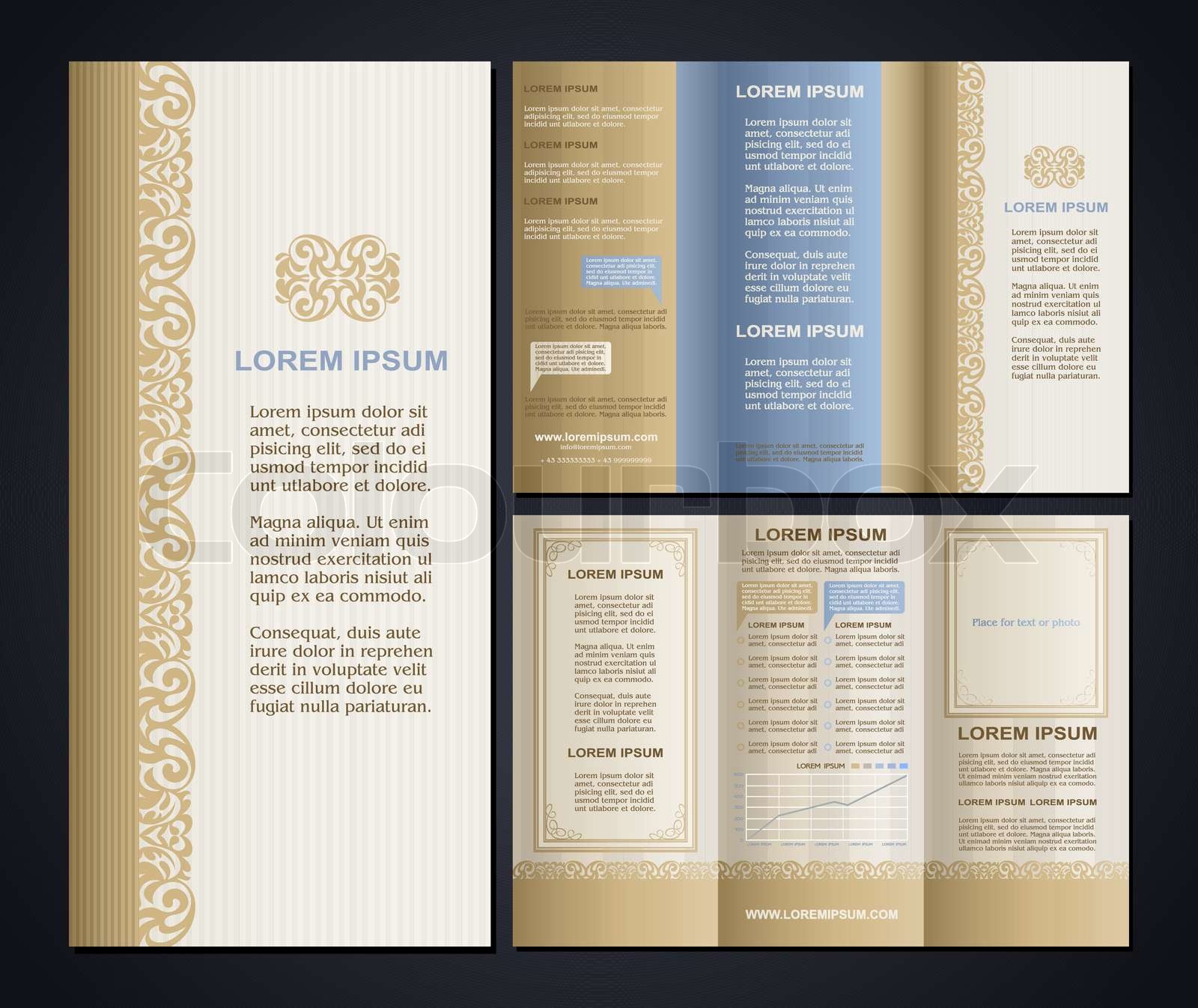 Vintage style brochure design template with logo, modern art elements ...