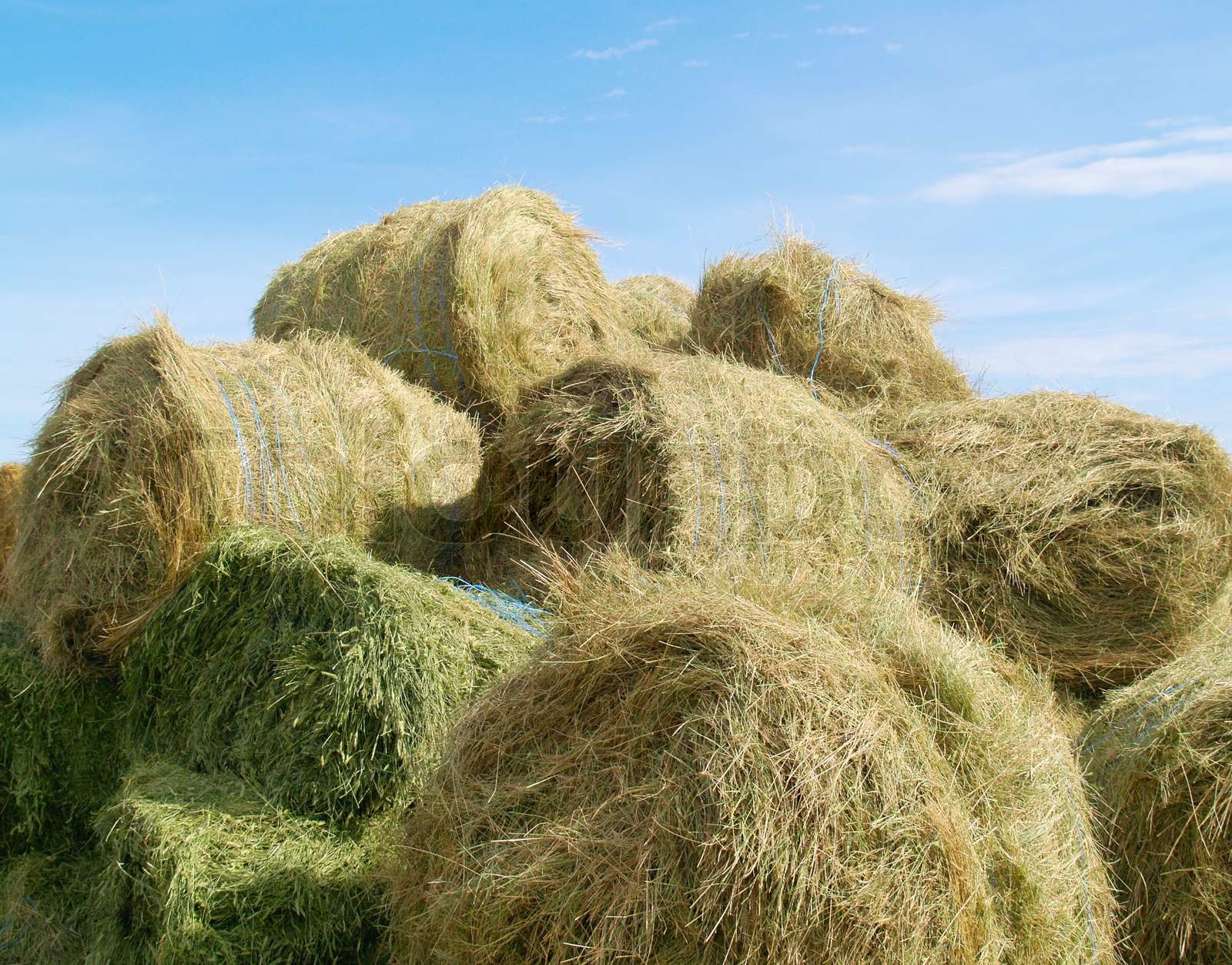 Heuballen | Stock Bild | Colourbox