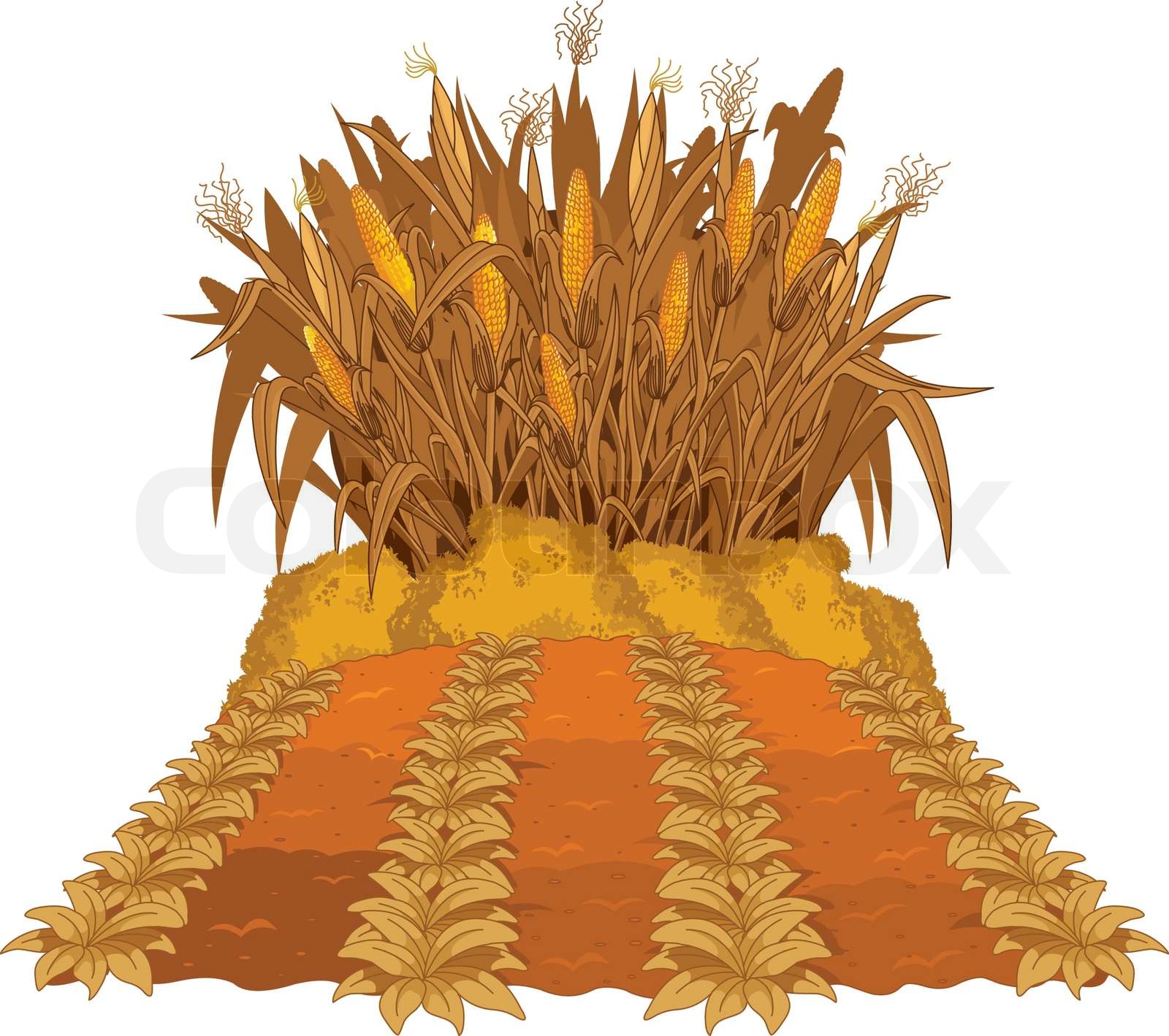 Planting corn | Stock vector | Colourbox