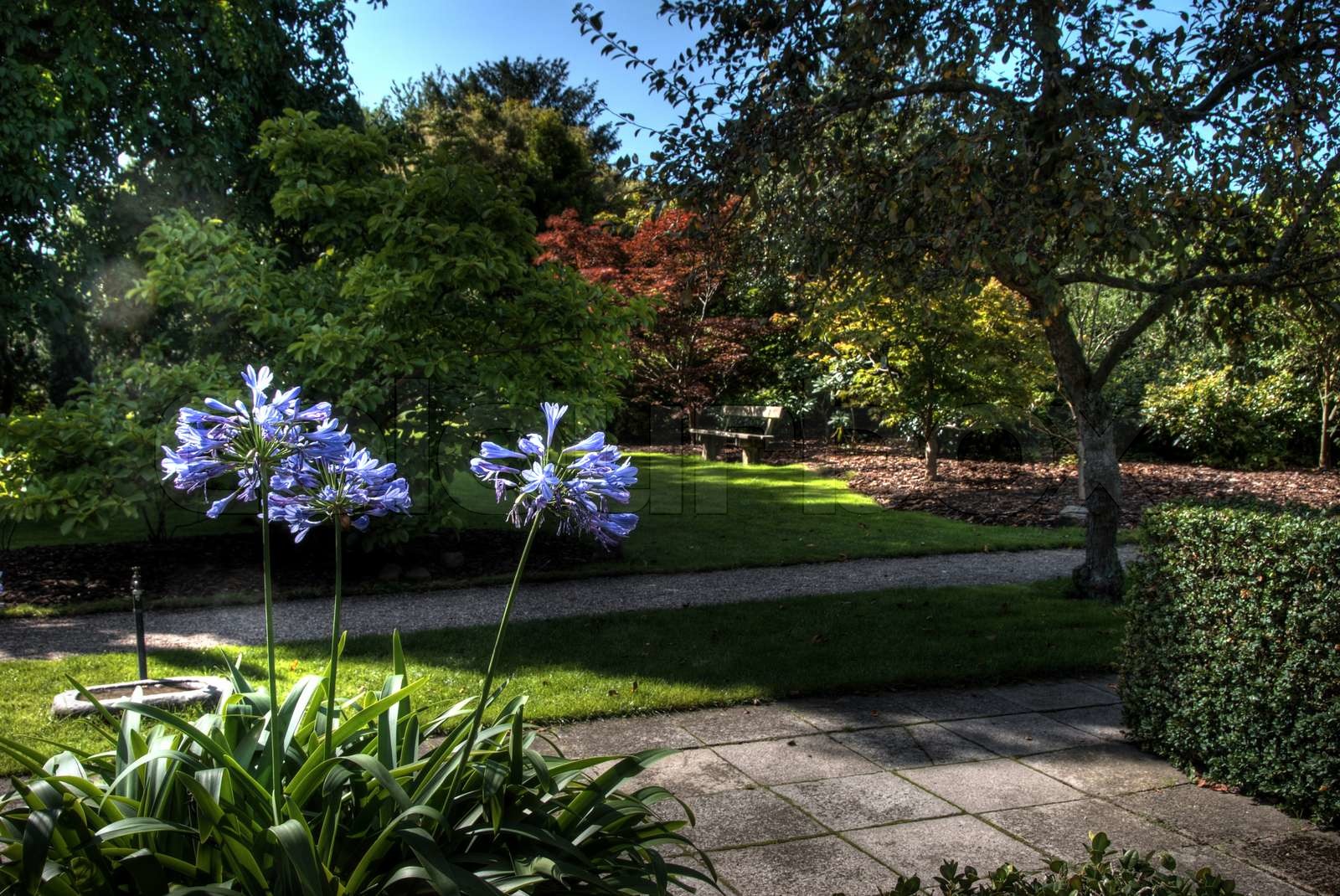 park and garden | Stock image | Colourbox