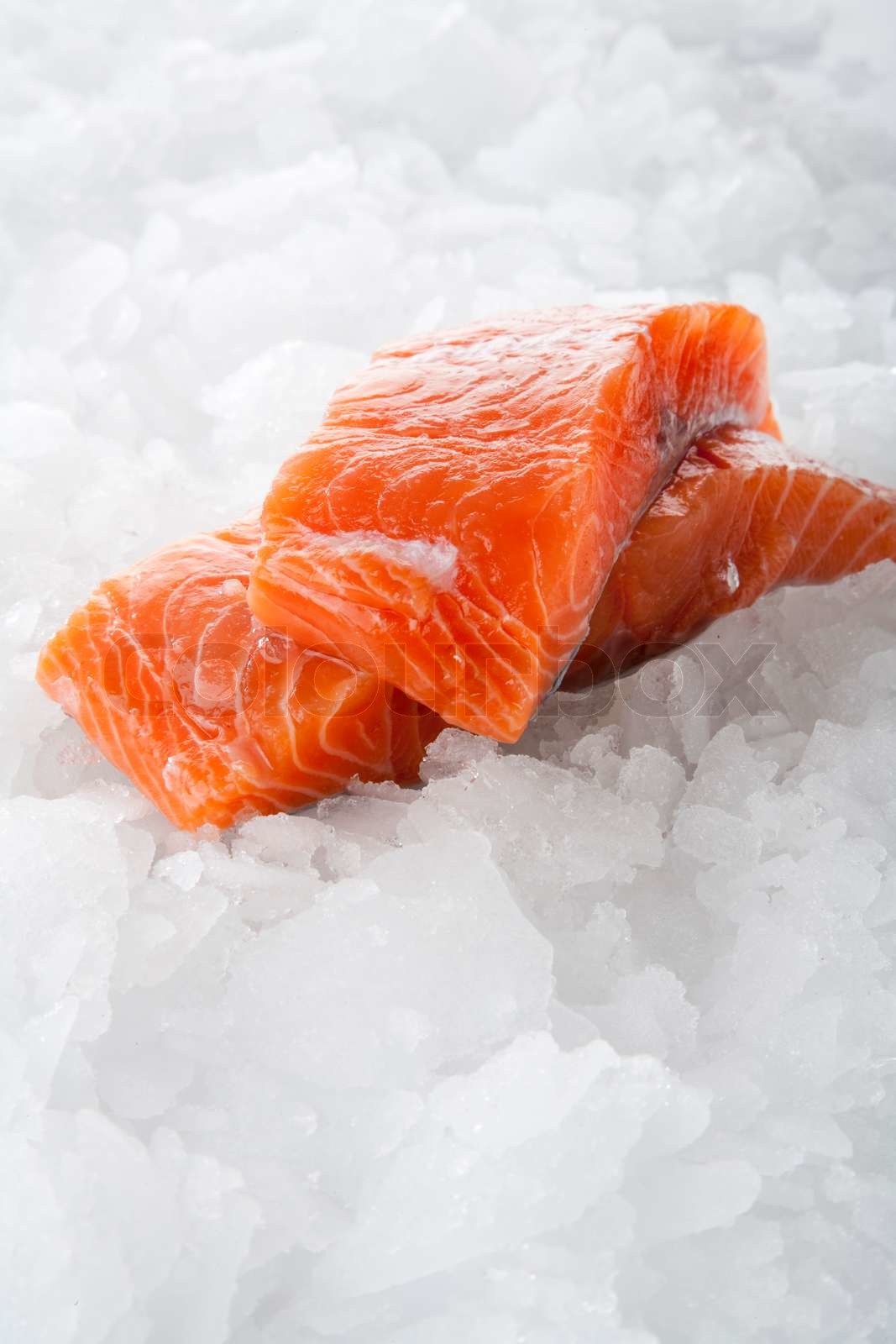 Fish fillet of salmon on ice | Stock image | Colourbox