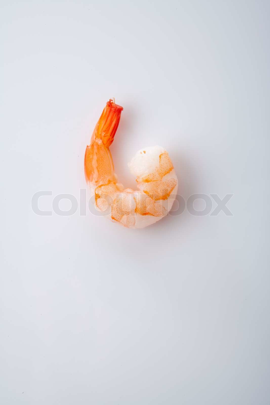 En reje på hvid baggrund | Stock foto | Colourbox