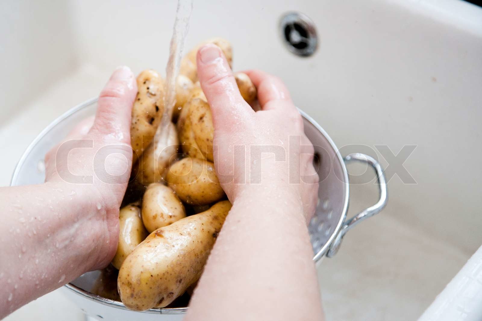 Washing potatoes in the sink | Stock image | Colourbox