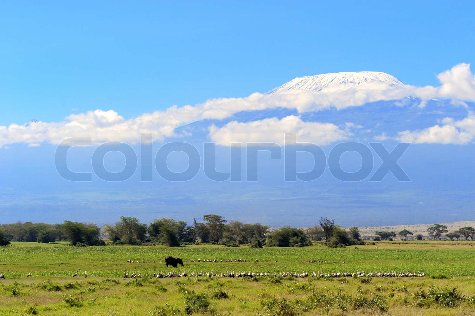 Snow on top of Mount Kilimanjaro | Stock image | Colourbox