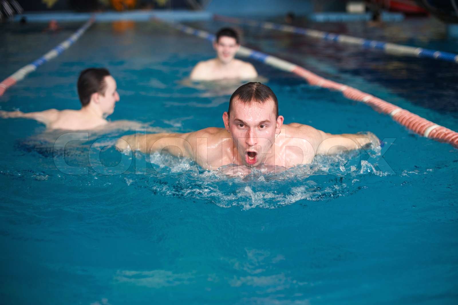 guy in pool | Stock image | Colourbox
