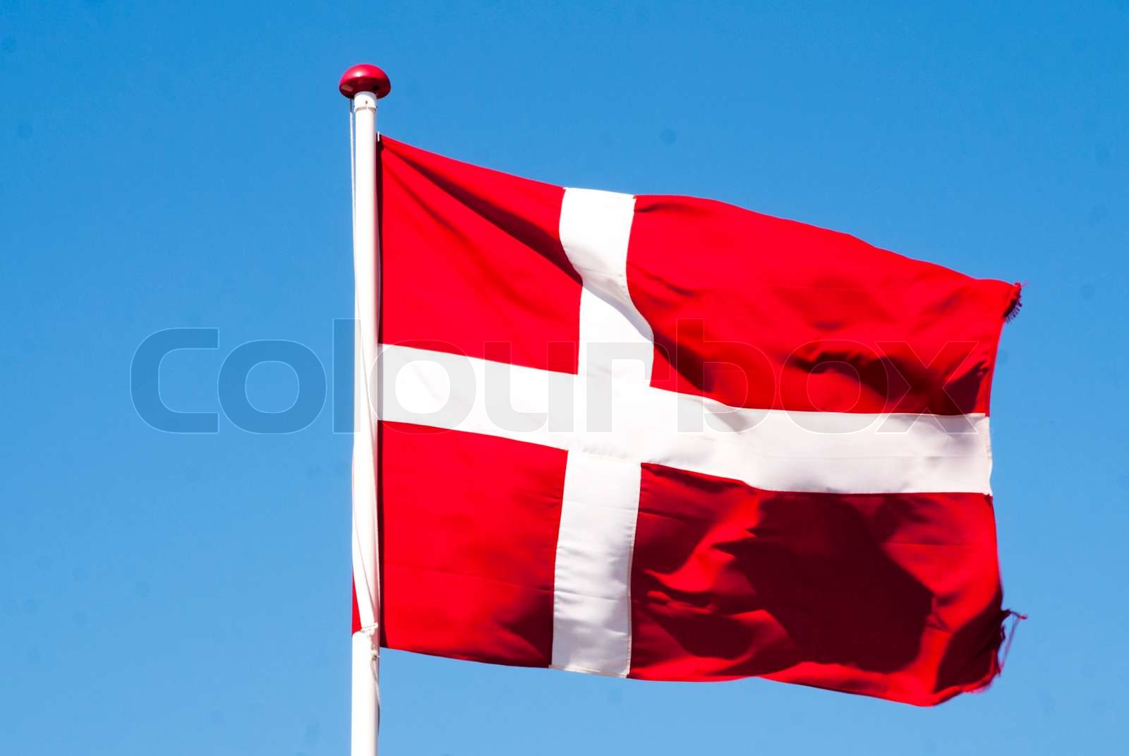 Danish Flag | Stock image | Colourbox