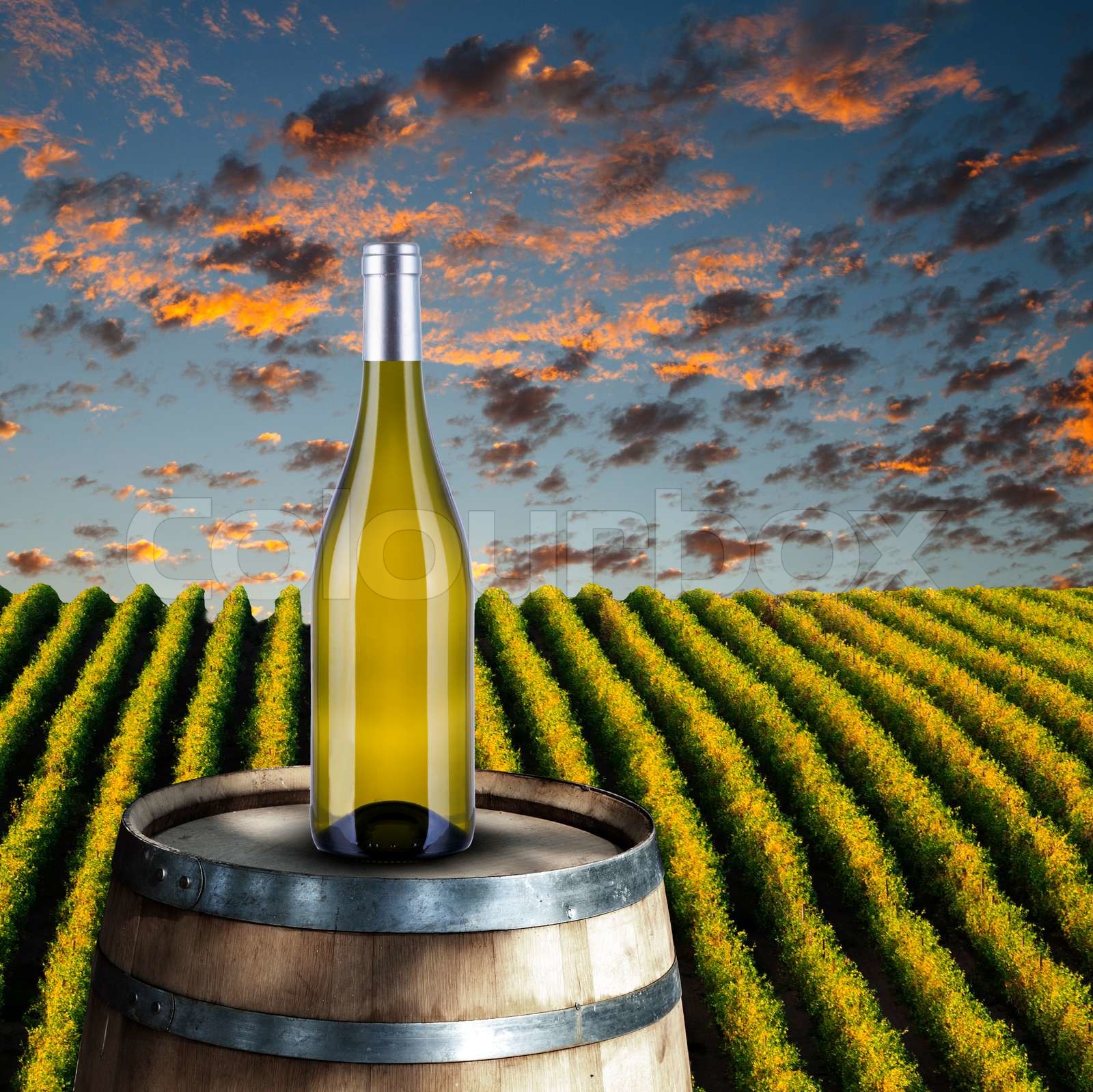 White Wine | Stock image | Colourbox