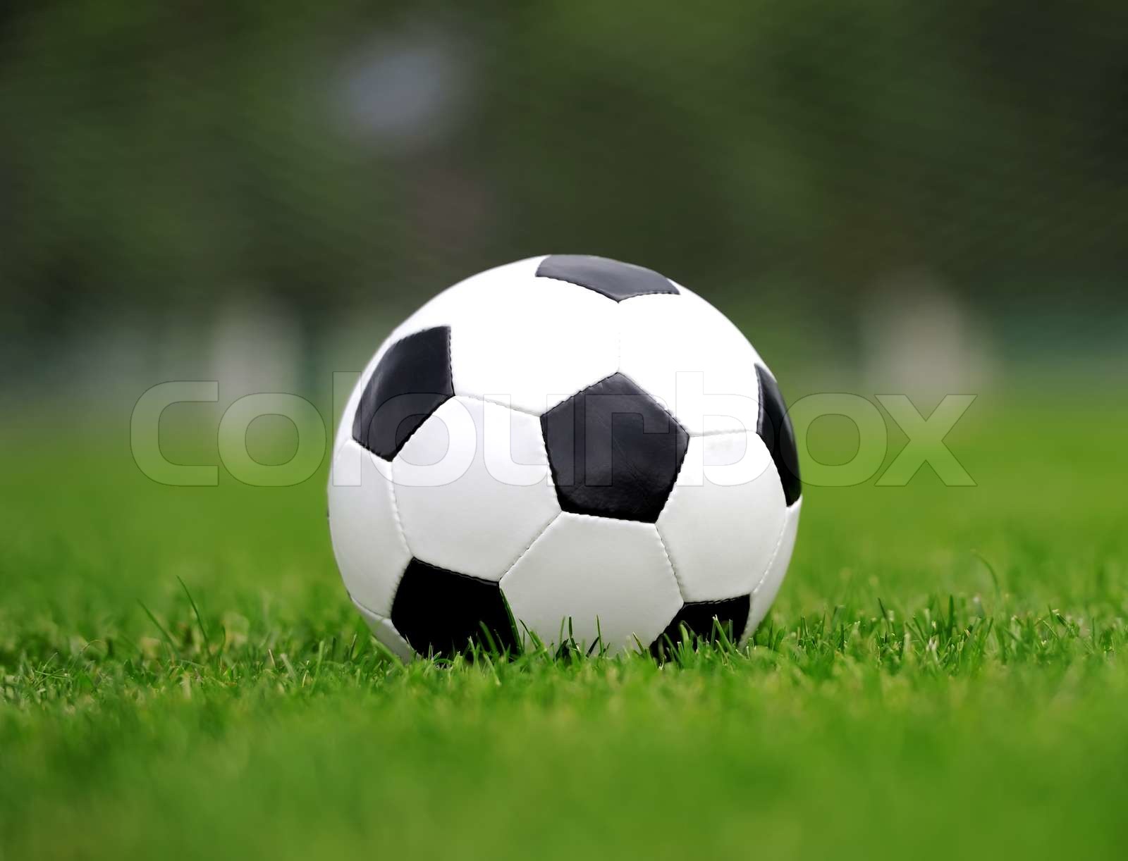 Close-up soccer ball | Stock image | Colourbox