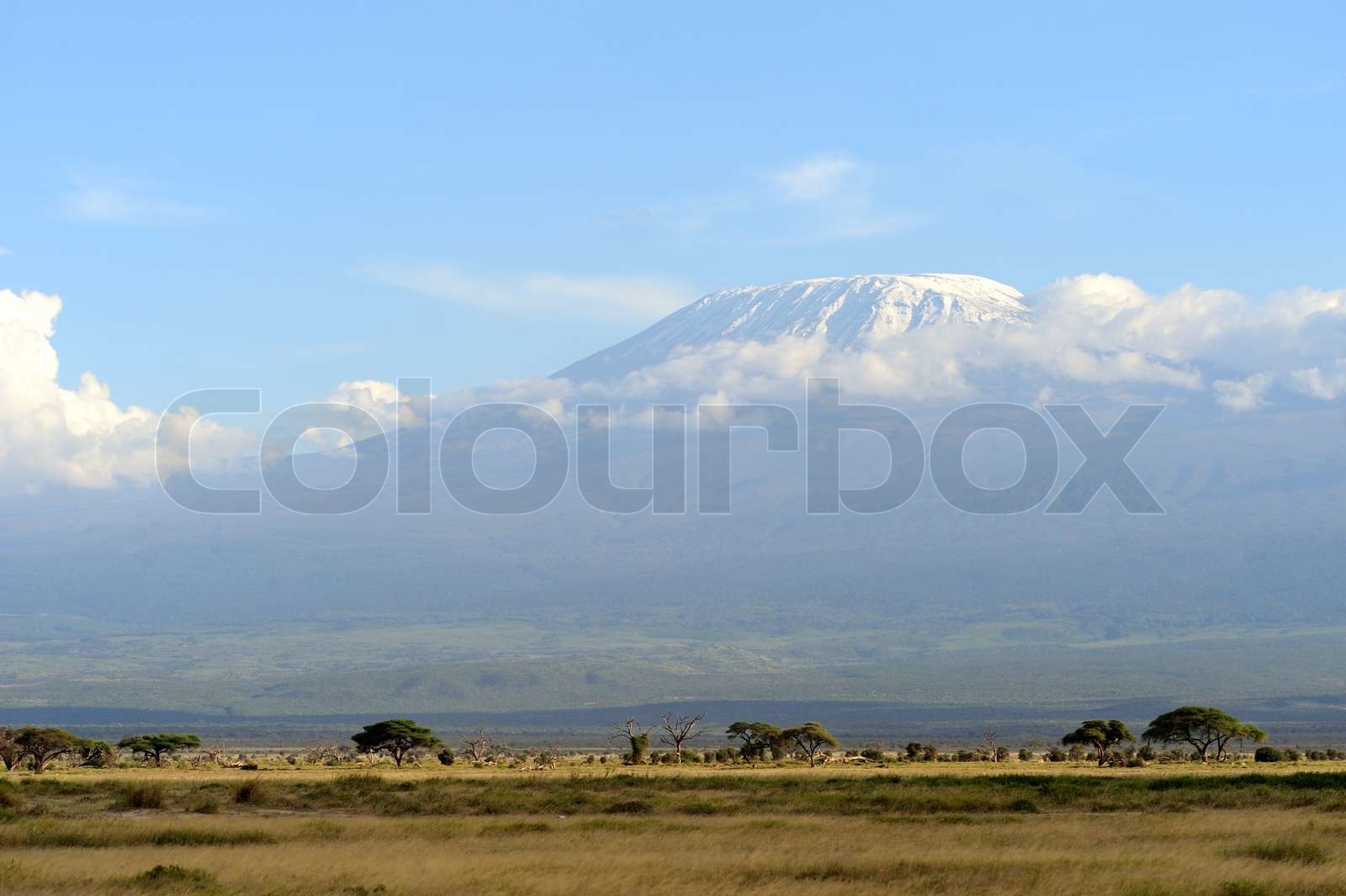 Snow on top of Mount Kilimanjaro | Stock image | Colourbox