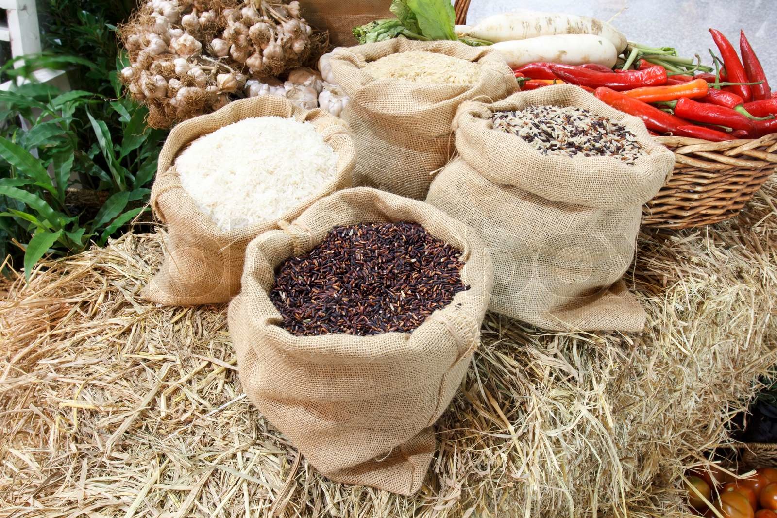 bag of organic rice | Stock image | Colourbox