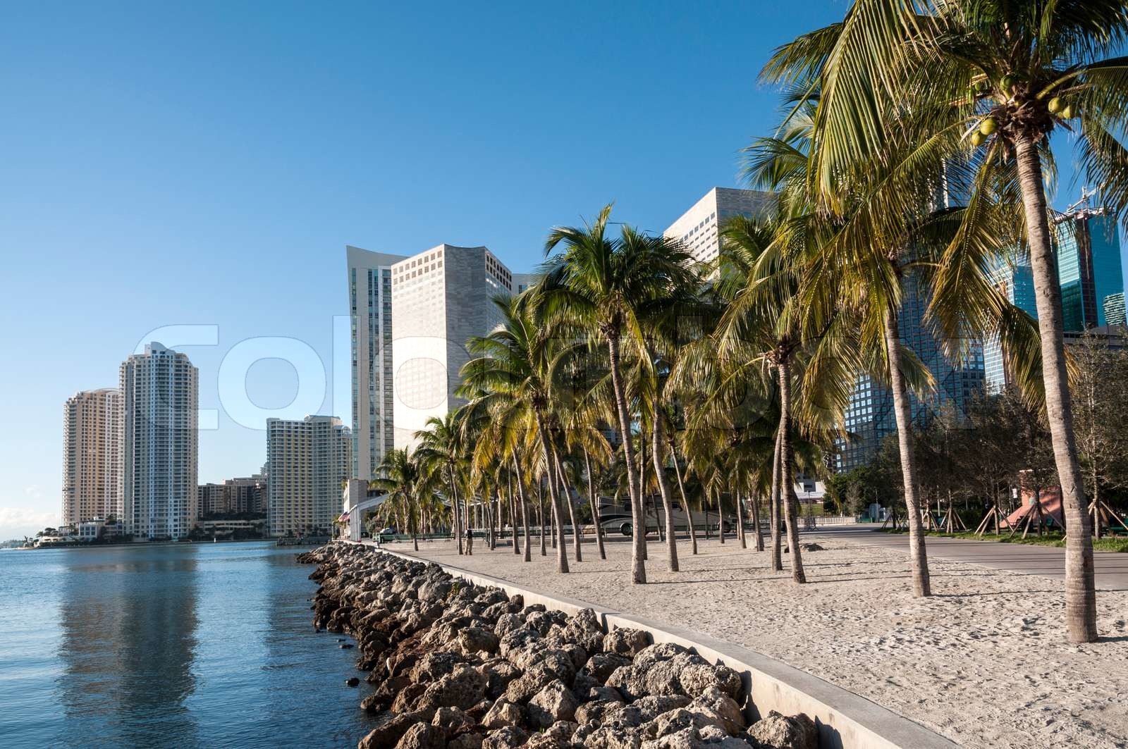 Waterfront promenade in Miami, Florida, USA | Stock image | Colourbox