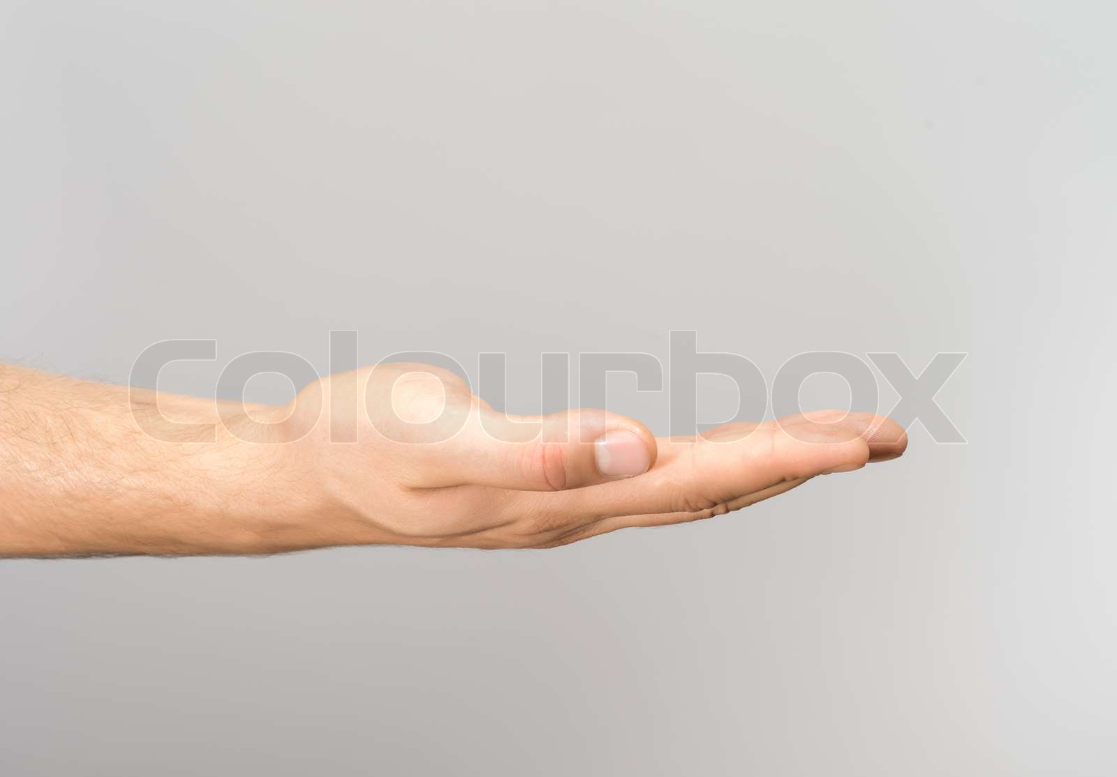open the outstretched palm of the hand | Stock image | Colourbox