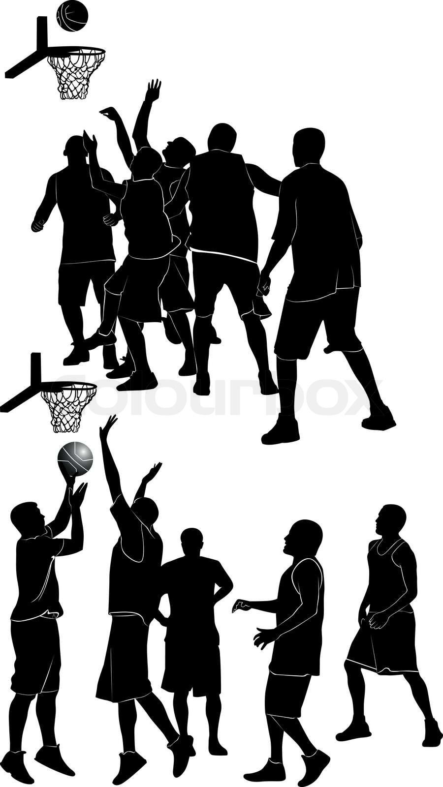 basketball | Stock vector | Colourbox
