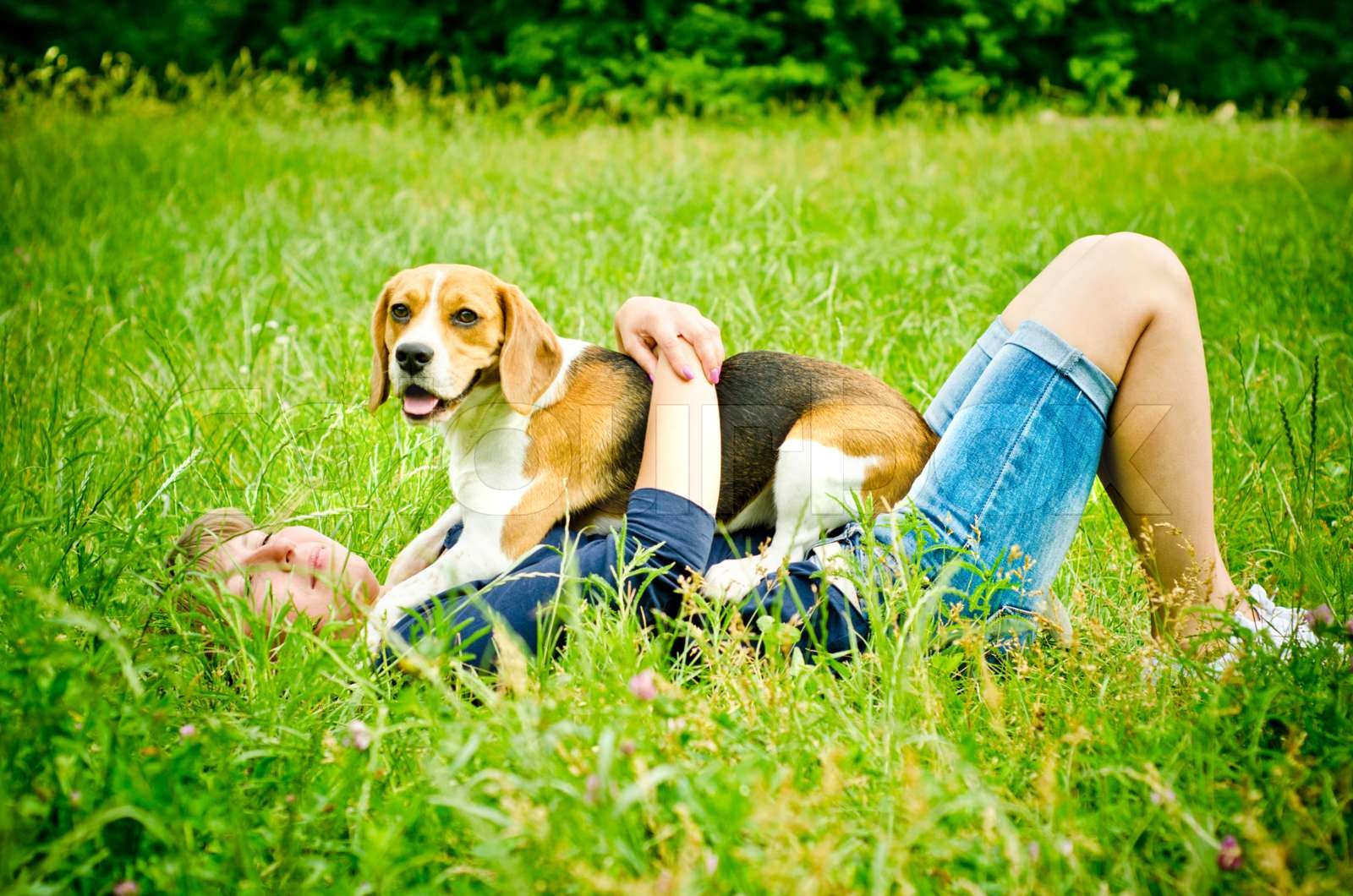 woman with beagle | Stock image | Colourbox