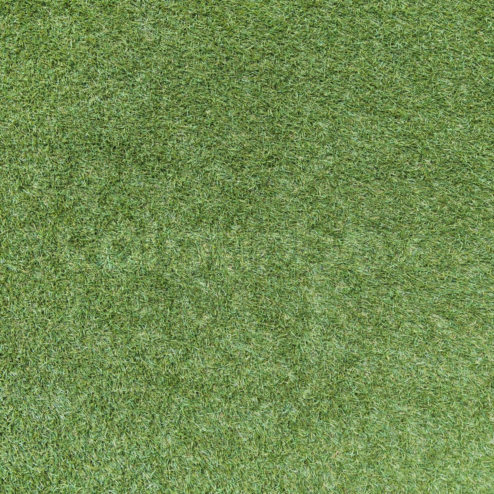 Grass Texture Photoshop