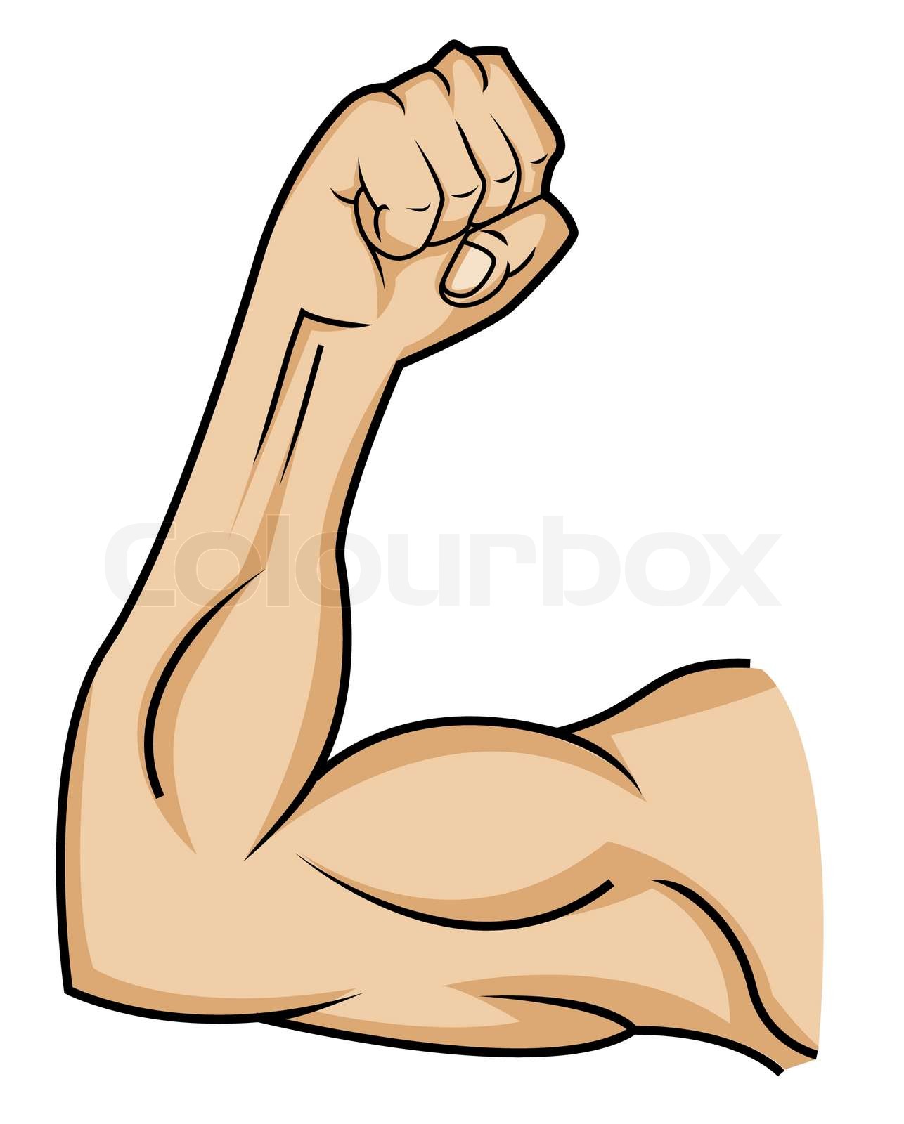 muscle hand | Stock vector | Colourbox