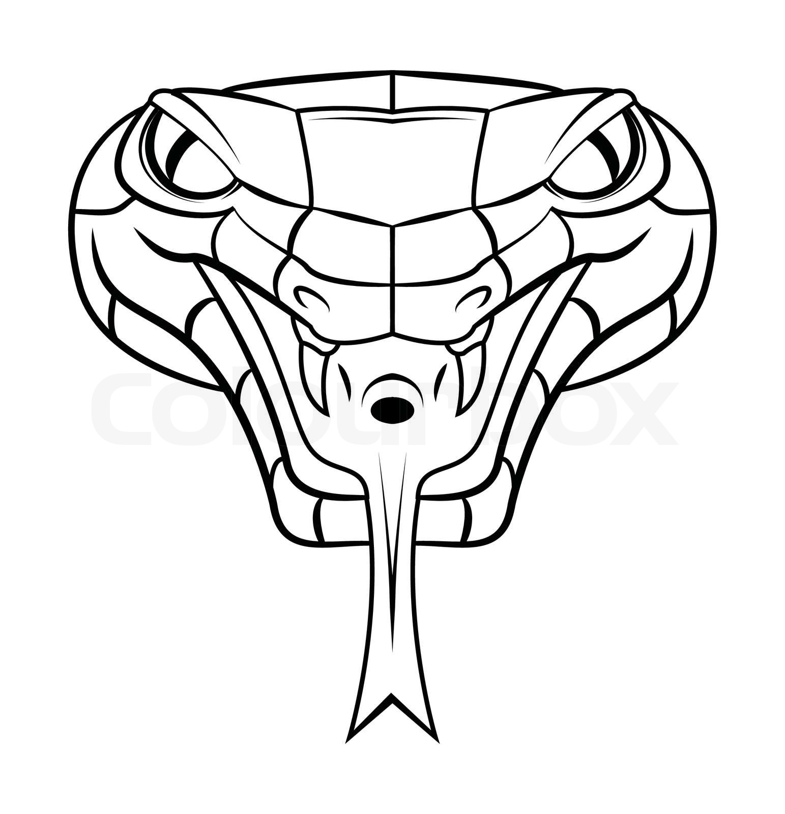 Snake Head | Stock vector | Colourbox