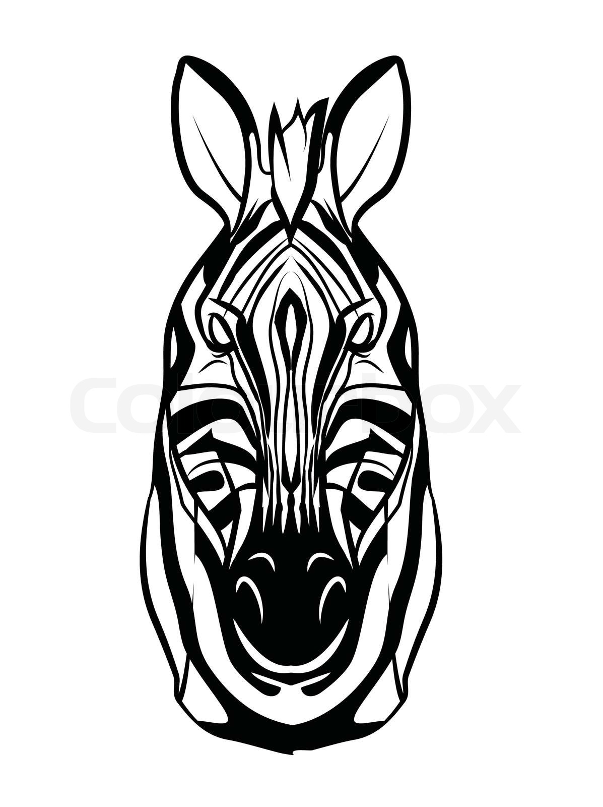 Zebra Head Stock Vector Colourbox