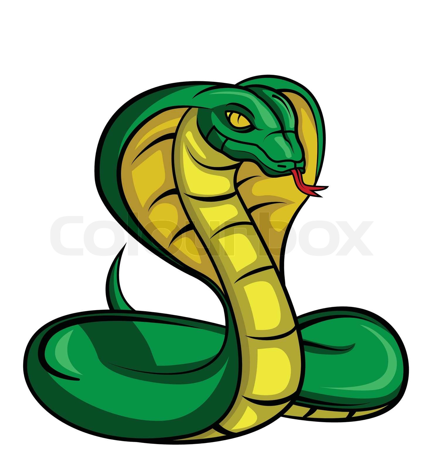 Cobra | Stock vector | Colourbox
