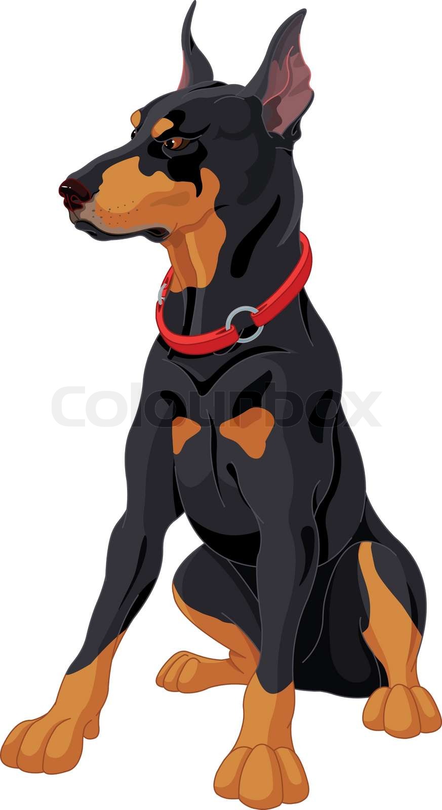 Evil Doberman Pinscher
