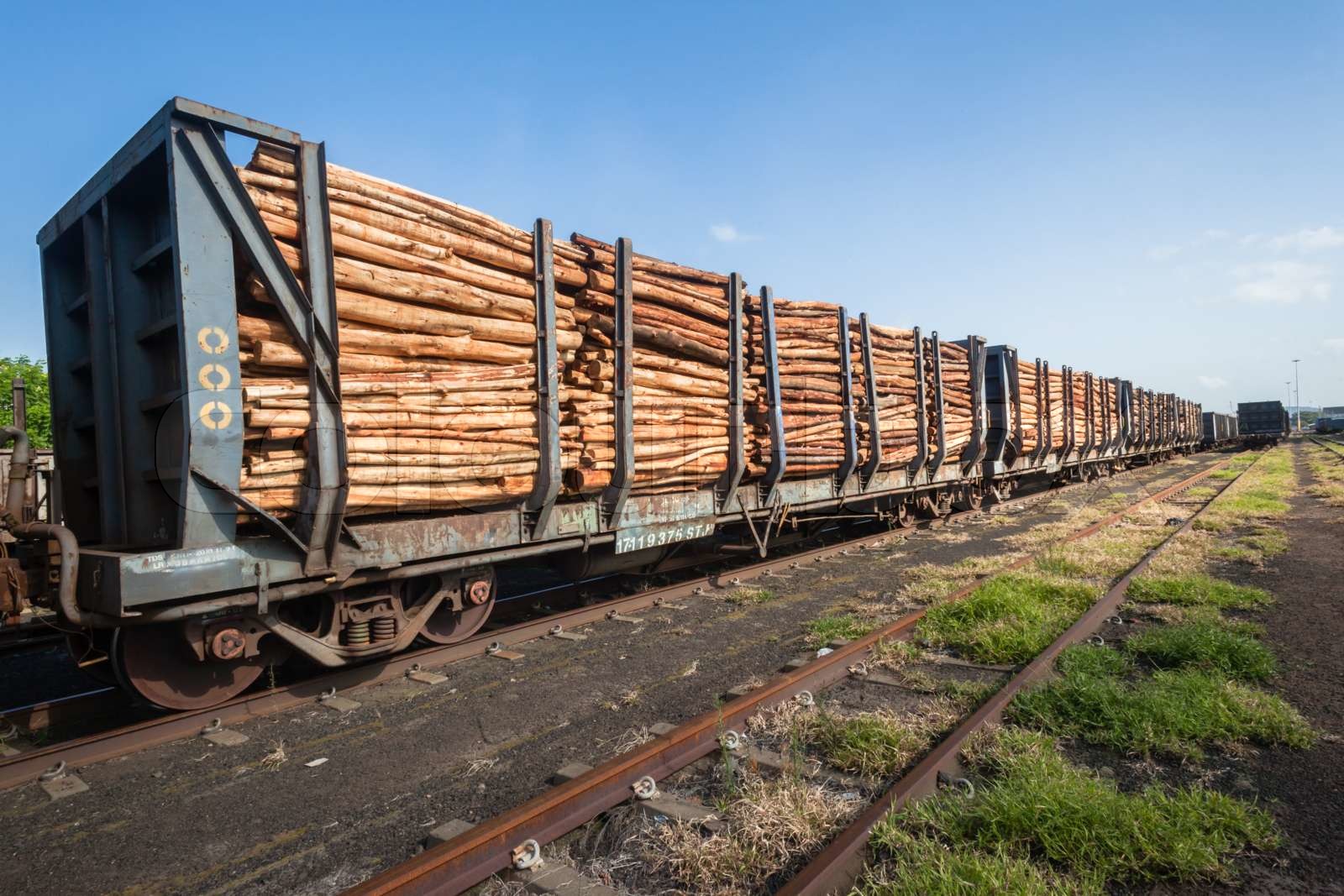 Train Lumber Wood Cargo | Stock image | Colourbox