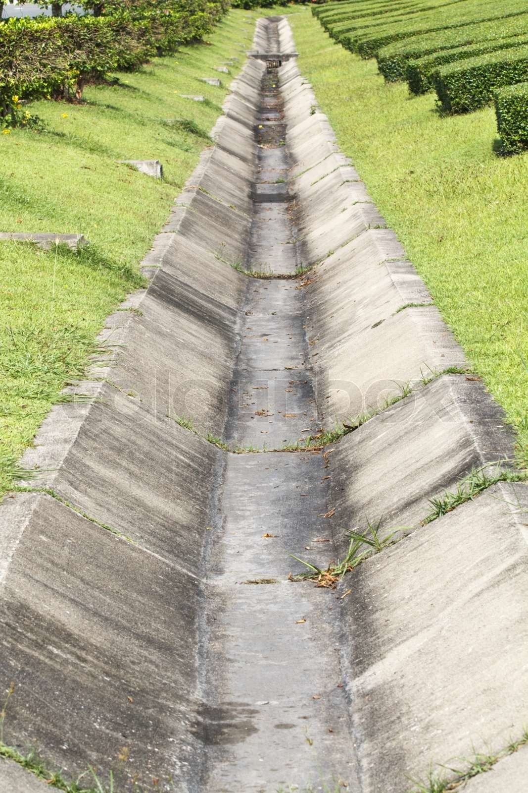 Concrete drainage channel in park. | Stock image | Colourbox