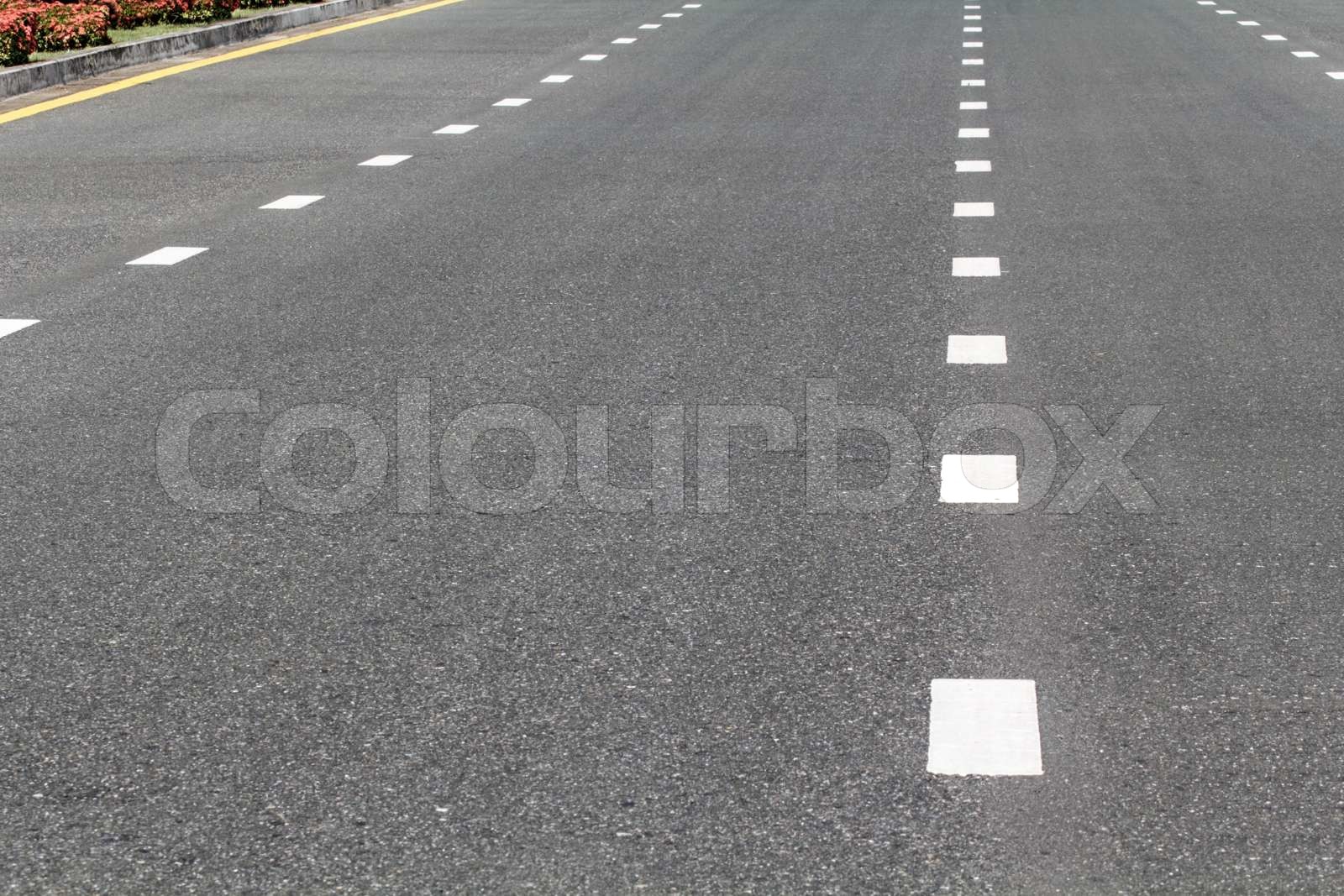 Dividing line on surface road | Stock image | Colourbox