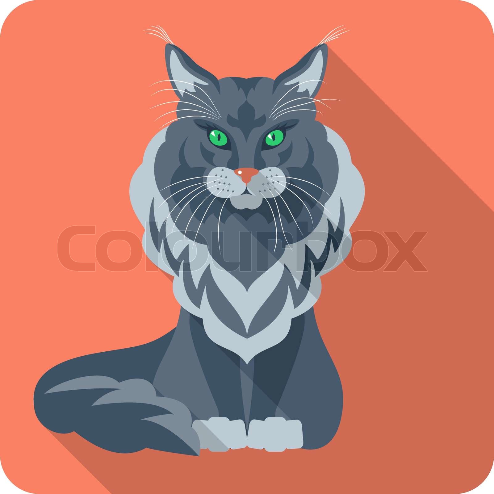 Vector Cat Maine Coon icon flat design | Stock vector | Colourbox